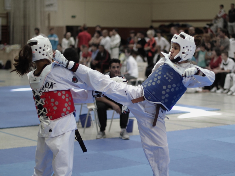 Hammersbacher Taekwondo-Kämpfer bei Hessenpokal weiter auf Erfolgskurs ...